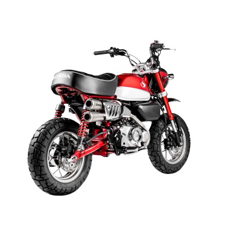 Escape Akrapovic Honda Monkey 125 2018-2024
